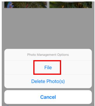 Wavebid Mobile – Wavebid