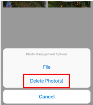 Wavebid Mobile – Wavebid